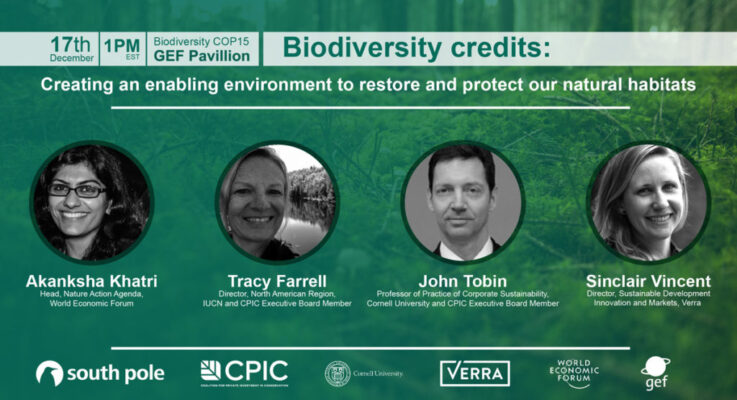 Biodiversity Credits: Creating an enabling environment to restore and ...